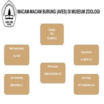 KELOMPOK AVES.pptx
