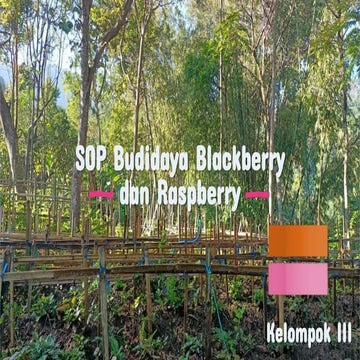 KELOMPOK III_SOP Blackberry dan Raspberry.pptx