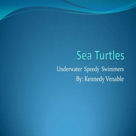 Life Cycle of Turtle (From Egg to Adult Sea Turtle) | PDF