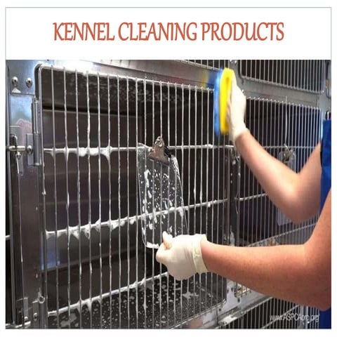 KENNEL CLEANING PRODUCTS | PPTX