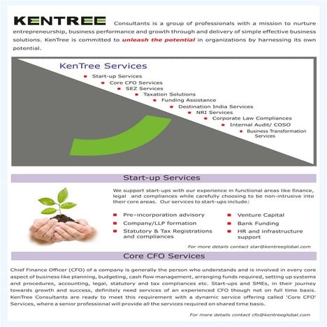 Peregrine Falcon | PPT