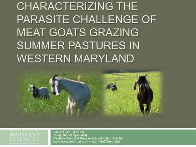 The Five Point Check® | PPTX