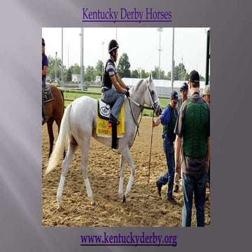 Kentucky derby horses | PPTX | Equine Sports | Sports
