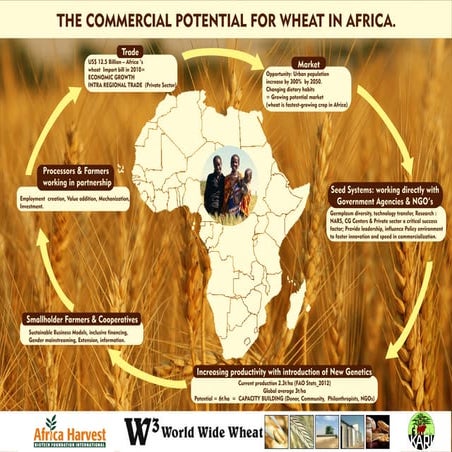The commercial potential for wheat in Africa | PDF