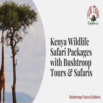 Kenya Wildlife Safari Packages with Bushtroop Tours & Safaris | PPT