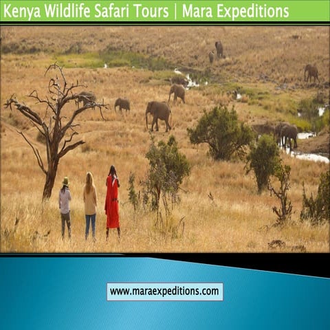 Kenya Wildlife Safari Tours | Mara Expeditions.pdf