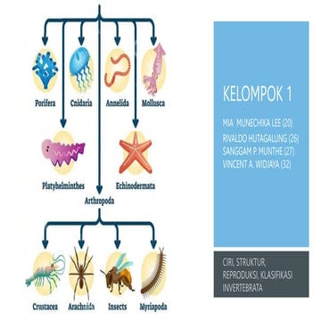 Kerkom Biologi.pptx