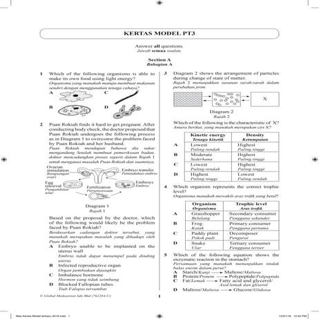 Kertas model pt3 | PDF