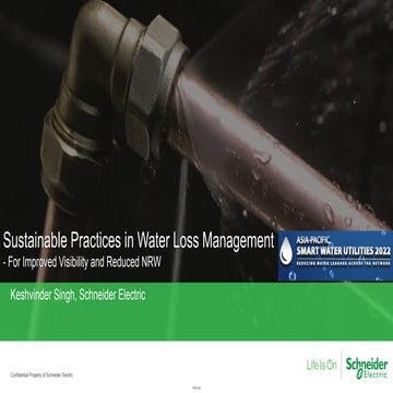 SUSTAINABLE PRACTICES IN WATER LOSS MANAGEMENT AND NRW REDUCTION | PDF
