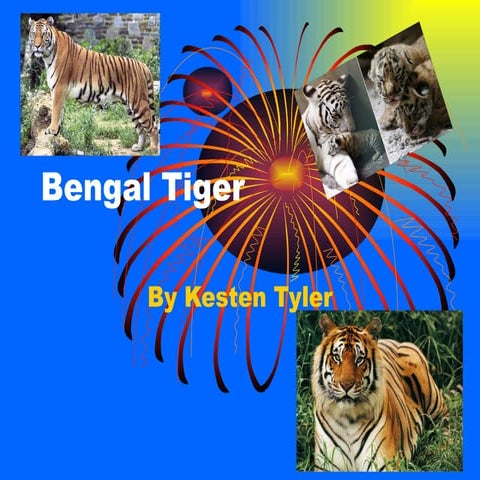 Kesten t bengal tiger | PPT