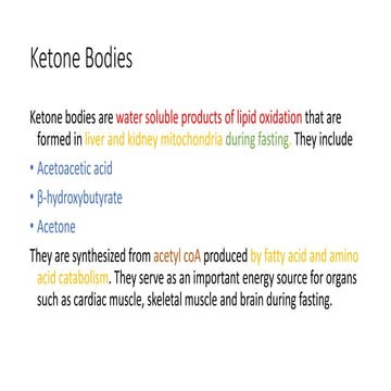Ketone Bodies.pptx