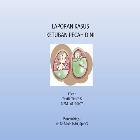 Denver ii indonesia | PDF