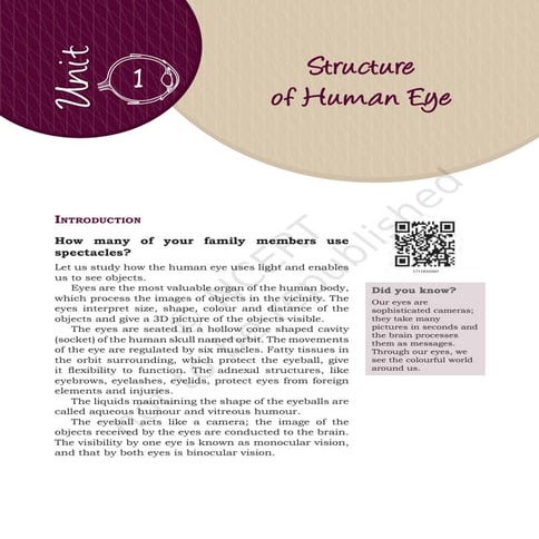eye_structure_and_function_science__8.ppt
