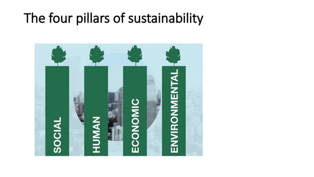 development that meets the needs of the present without compromising ...