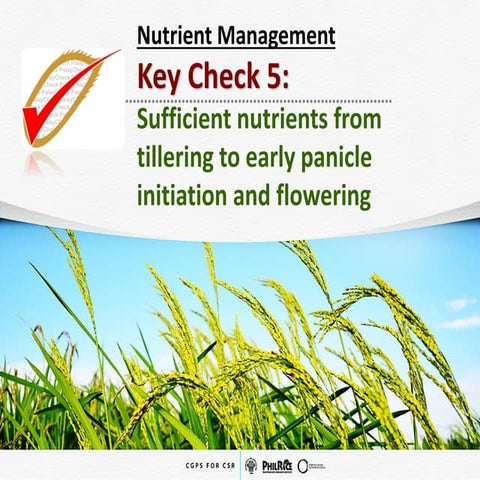 Leaf Color chart (LCC) | PPTX