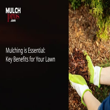Key Lawn Benefits Explained Through Essential Mulching Insights ...