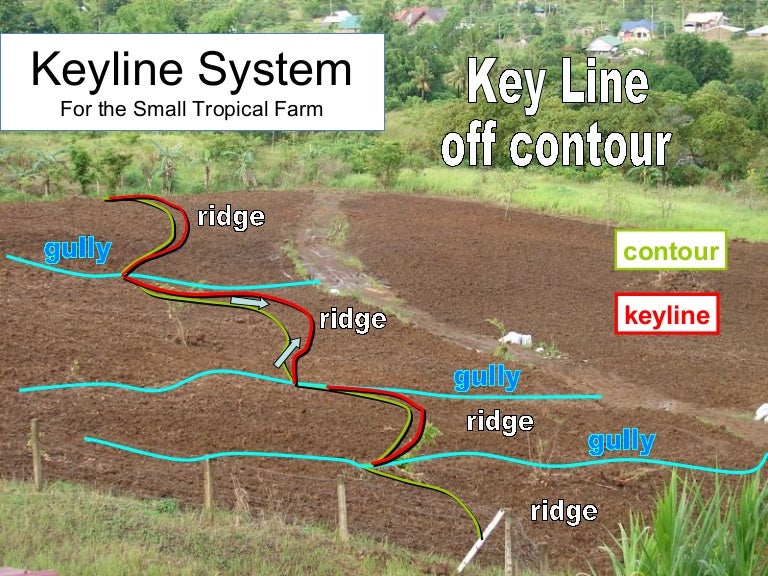 Keyline without a tractor for small farms