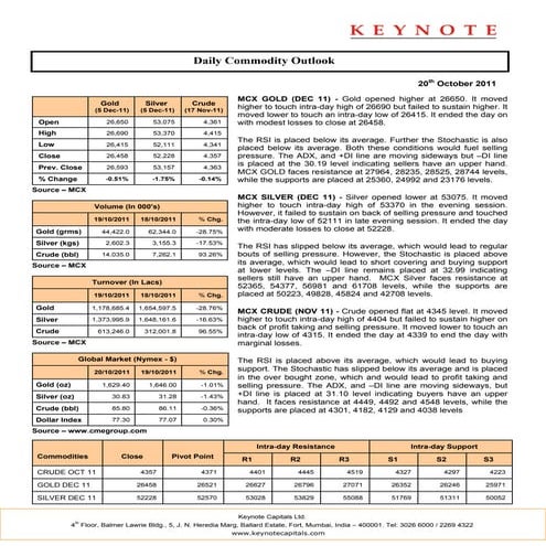 Keynote commodity daily report 201011 | PDF
