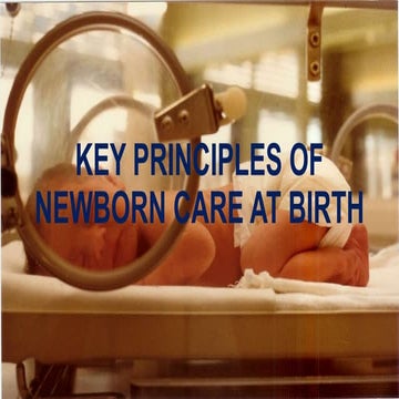 Key principles of newborn care at birth | PPTX