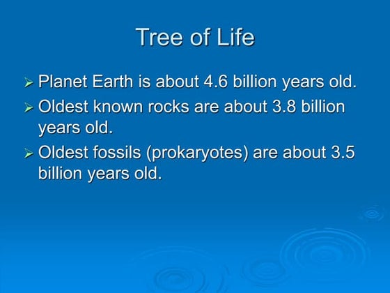 Paleobotany | PPT