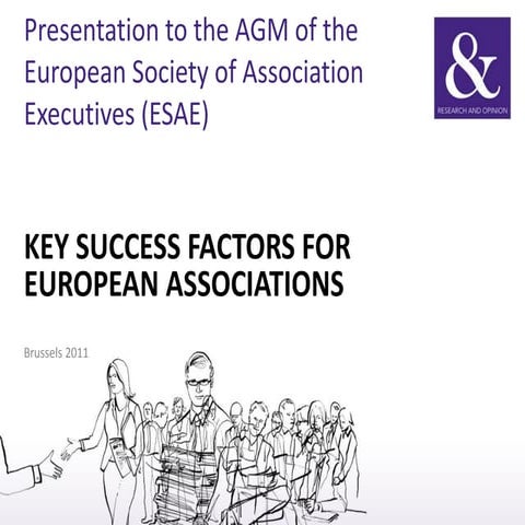 Key Success Factors for European Associations | PDF