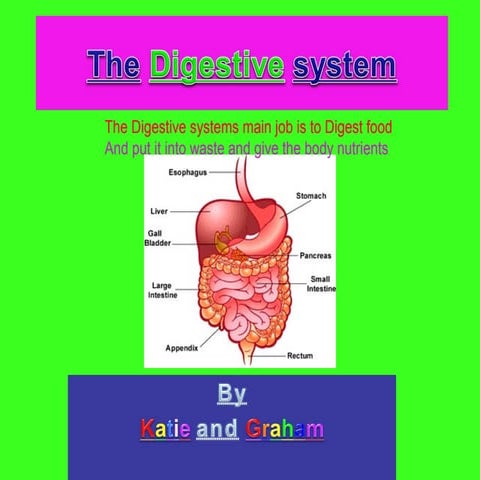 Digestive and nervous systems | PPT