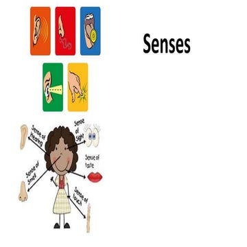 KG 2 .. Senses...pptx