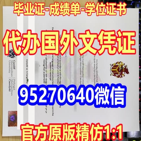 USYD毕业证 | PDF