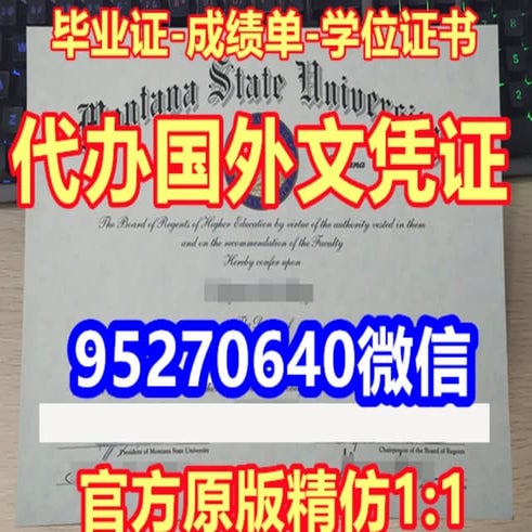 NJIT毕业证 | PDF