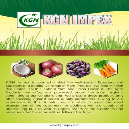 Kgn Impex Maharashtra India | PDF