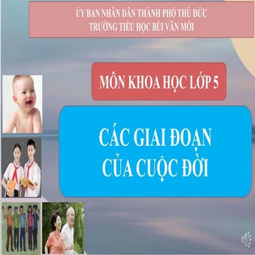 kh-tuan-3-cac-giai-doan-cua-cuoc-doi-1_4102021165422.pptx