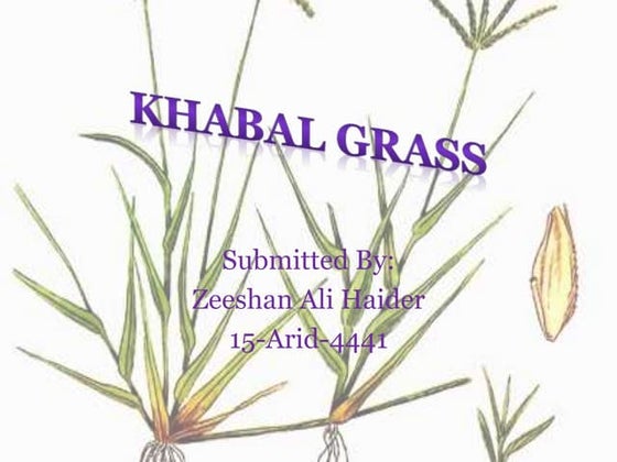 ROAD SIDE TREE PLANTING IN LANDCAPE..pdf