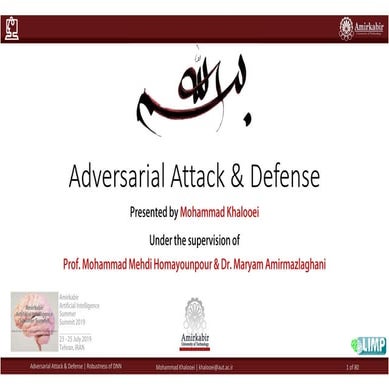 Robustness of Deep Neural Networks | Adversarial attacks and defenses | PDF
