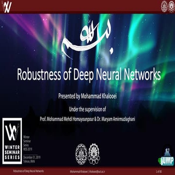 Robustness Of Deep Neural Networks Ppt