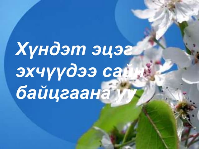 насны үечлэл | DOC