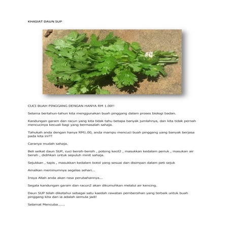 Khasiat daun sup | DOCX