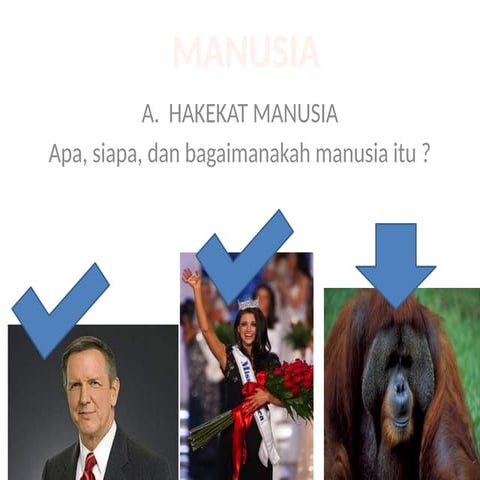 Manusia.pptx