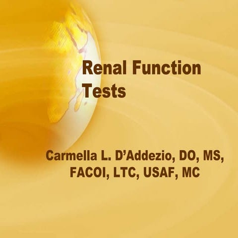 Renal Function Testspdf 4166