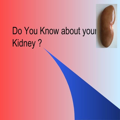 10 Fast Facts About Your Kidneys Hiranandani Hospital Kidney ...