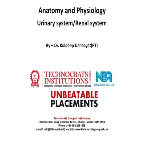The urinary system | PPTX