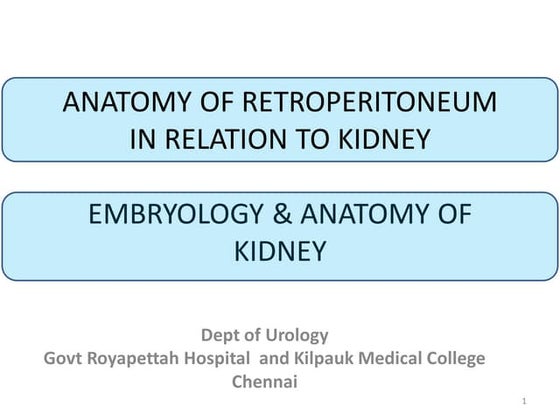 2. Anatomy-1.pptx