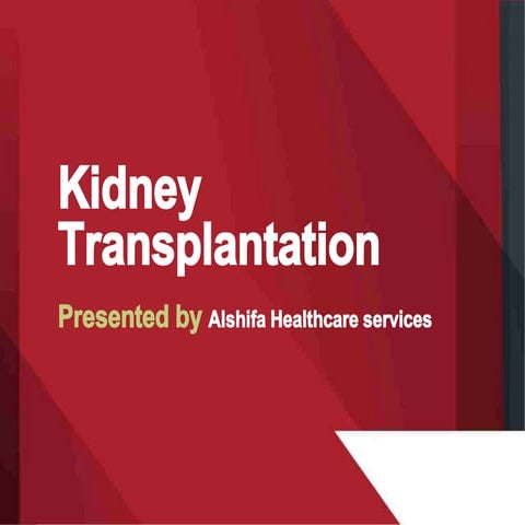 Kidney-Transplantation-PowerPoint-Presentation-compressed.pptx
