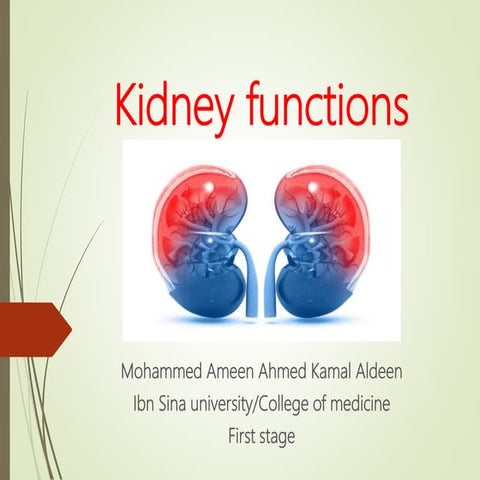 Kidney function | PPTX