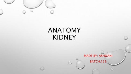 Kidney (STRUCTURE AND FUNCTIONS) (: The Guyton and Hall physiology) | PPT