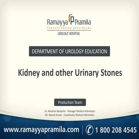 Presentation kidney-stone final | PPTX
