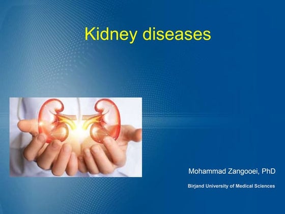 renal dse renal dse renal dse renal dse renal dse | PPT