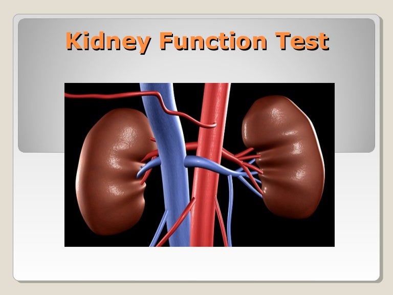 Kidney Function Test Kidney Function Test