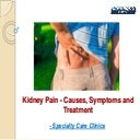 Kidney Pain - Causes, Symptoms and Treatment. | PPTX | Digestive ...