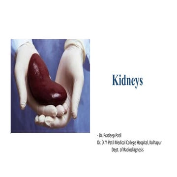 Kidney anatomy and ct ppt.pptx