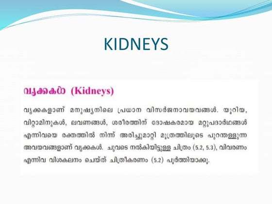 Kidney diseases | PPTX
